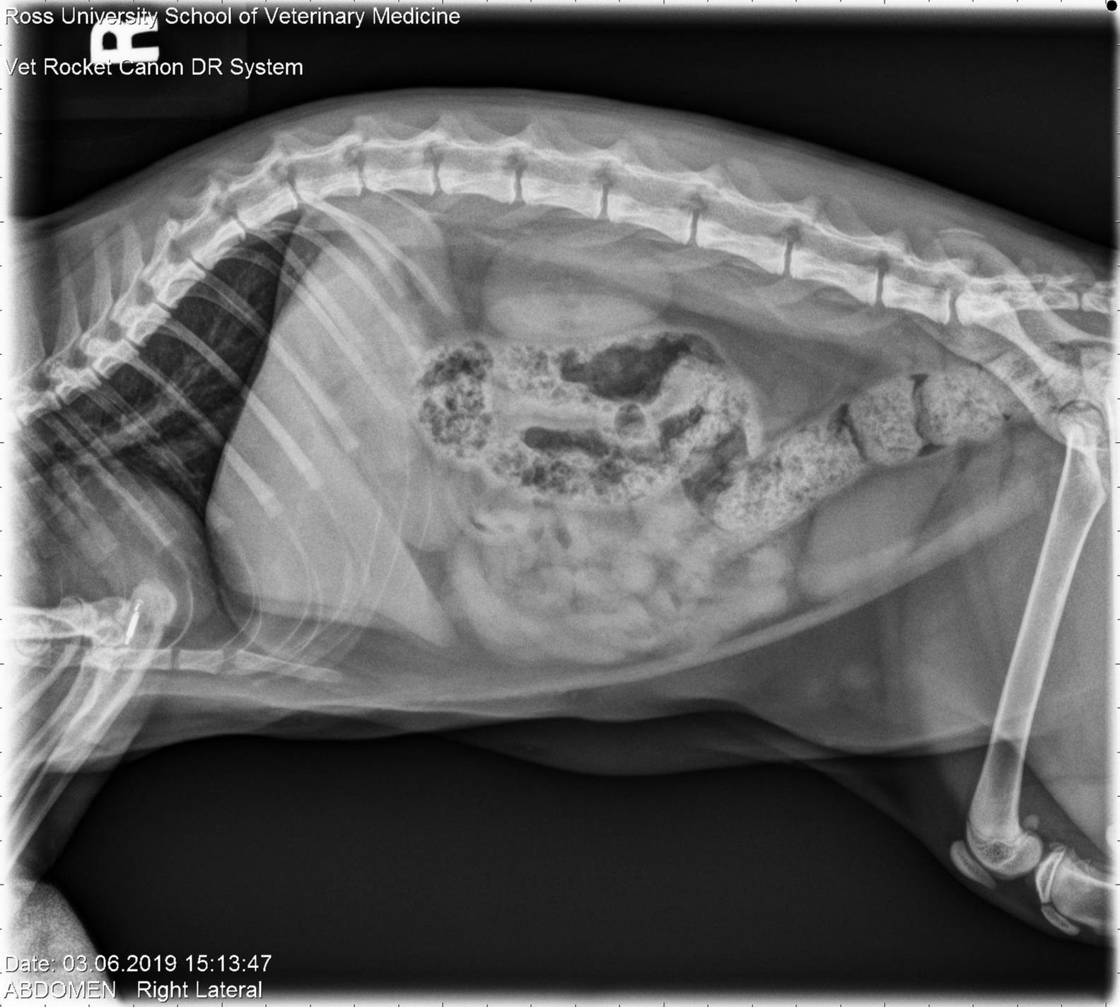 worka/vanilla-js-wheel-zoom