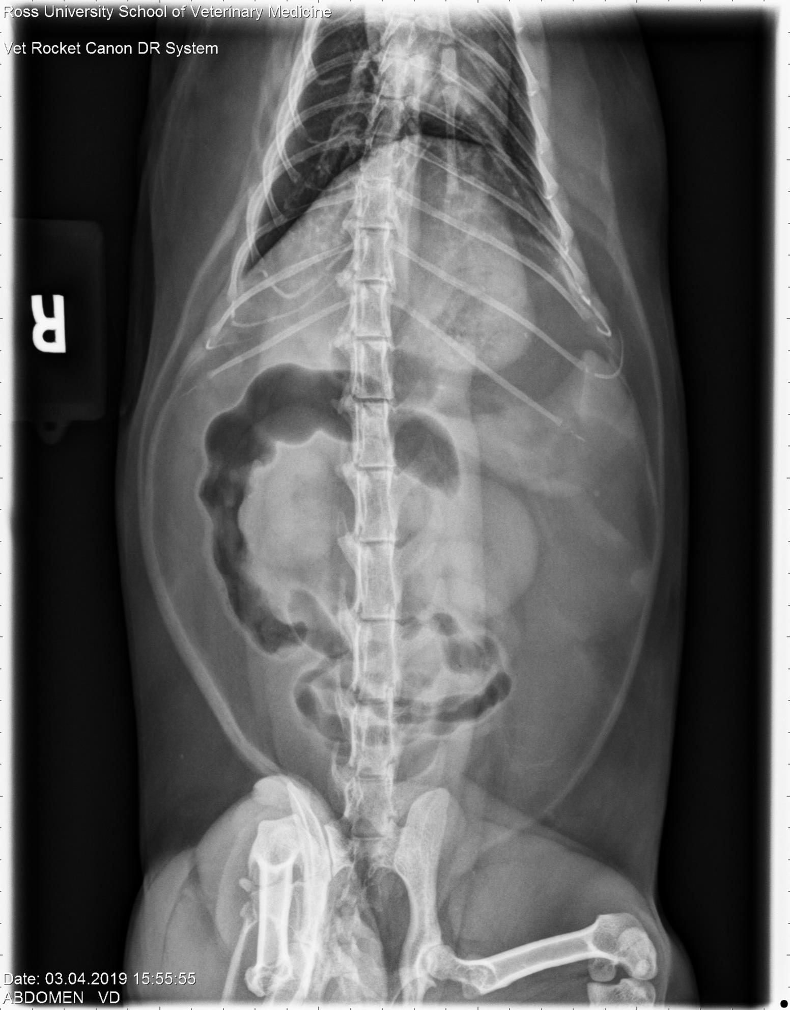 worka/vanilla-js-wheel-zoom